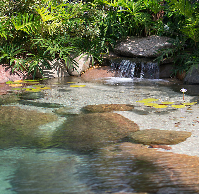 Piscina Natural - FM